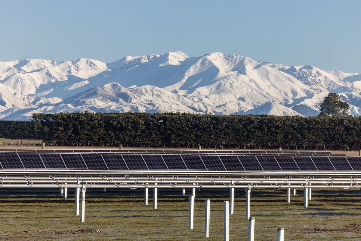 Lauriston Solar Farm: Powered by collaboration, connection and capital ...
