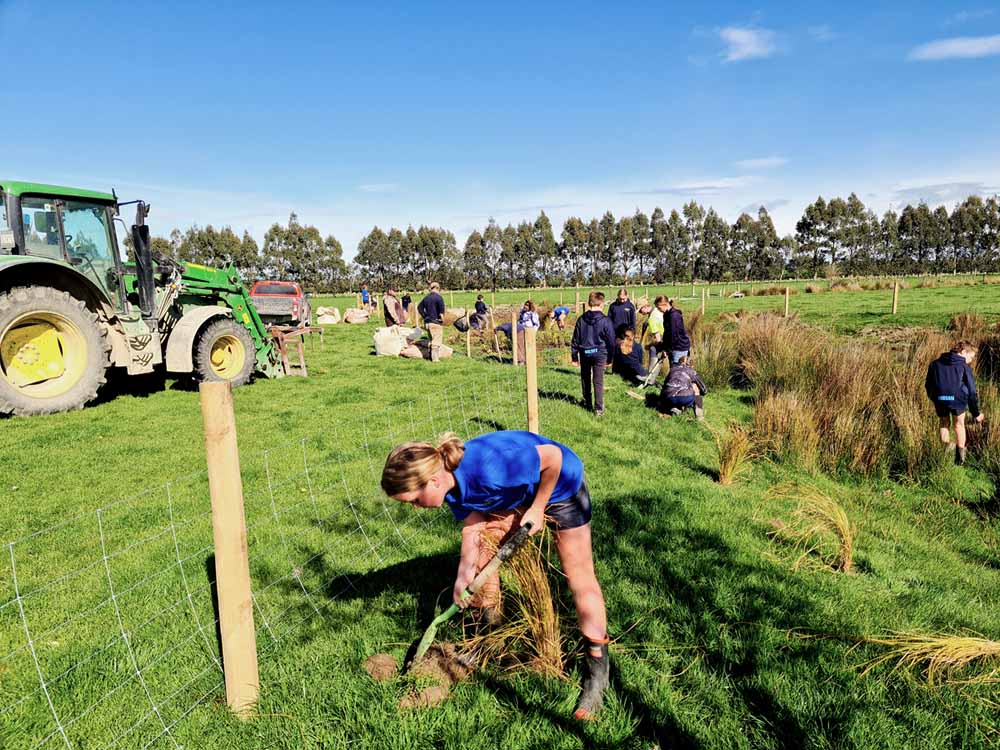 Thriving Southland: Communities creating a healthy environment from ...