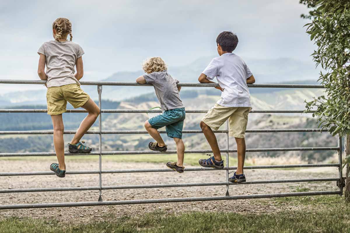 Investment techniques - what is term deposit laddering? - BNZ