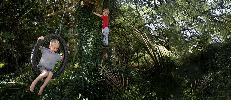 Environment and climate - BNZ