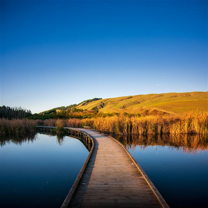 New report maps path for New Zealand to unlock global nature-based ...