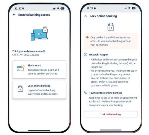 BNZ launches new anti-scam tool to lock scammers out of online banking ...