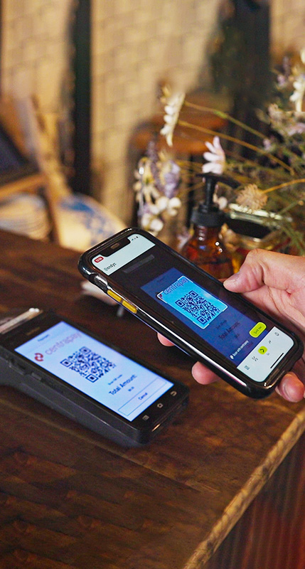 Payap payments - BNZ